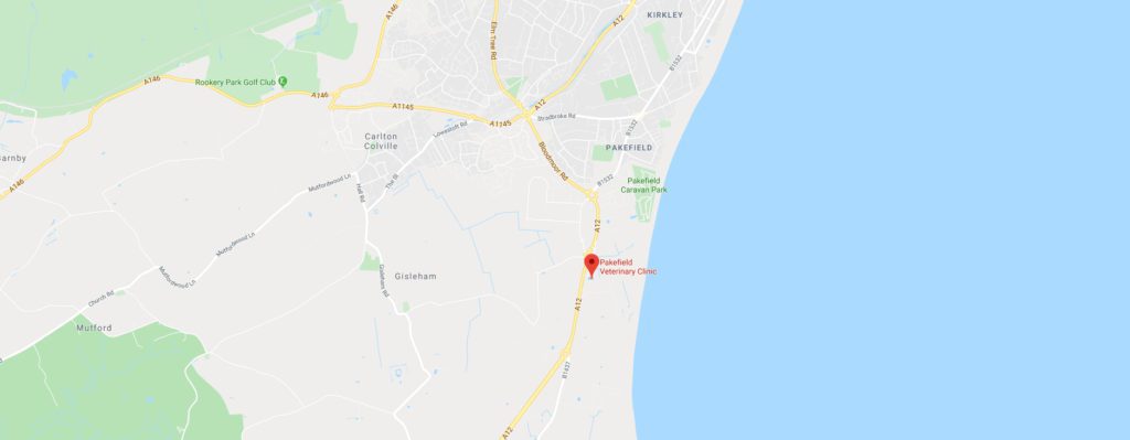 Contact Us | Pakefield Veterinary Clinic in Lowestoft Suffolk