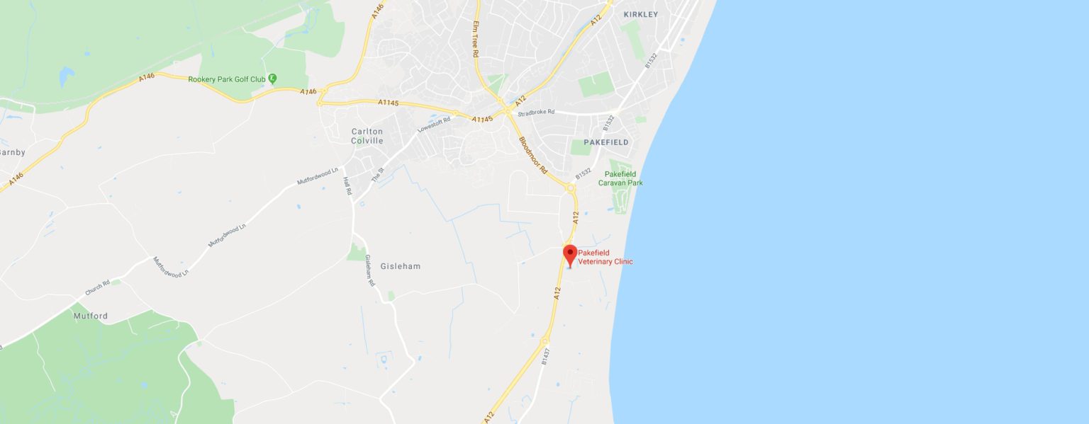 Contact Us | Pakefield Veterinary Clinic in Lowestoft Suffolk